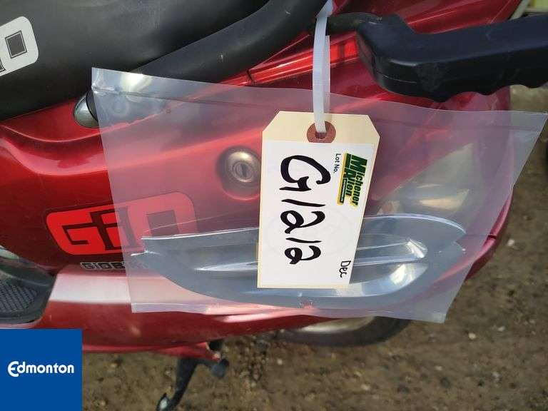 Geo Electric Scooter - Michener Allen Auctioneering Ltd