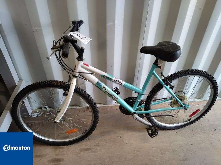Raleigh Triumph Challenger - Michener Allen Auctioneering Ltd