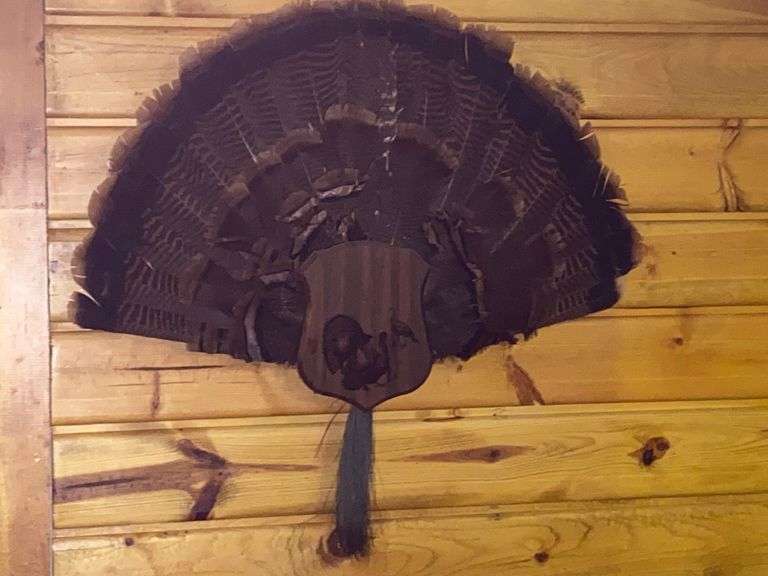 Turkey Fan And Beard Mount Mclaughlin Auctioneers Llc Mc