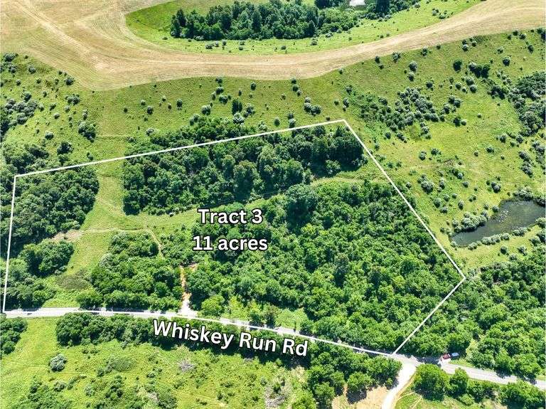 12 Acres - Mossy Oak Properties Bauer Realty & Auctions