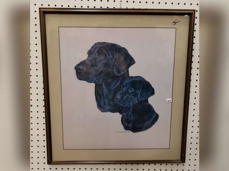 Les Anderson Jr lab print, 23x25in