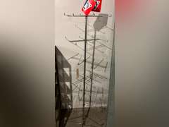 Wire tree display rack - Northern Kentucky Auction, LLC