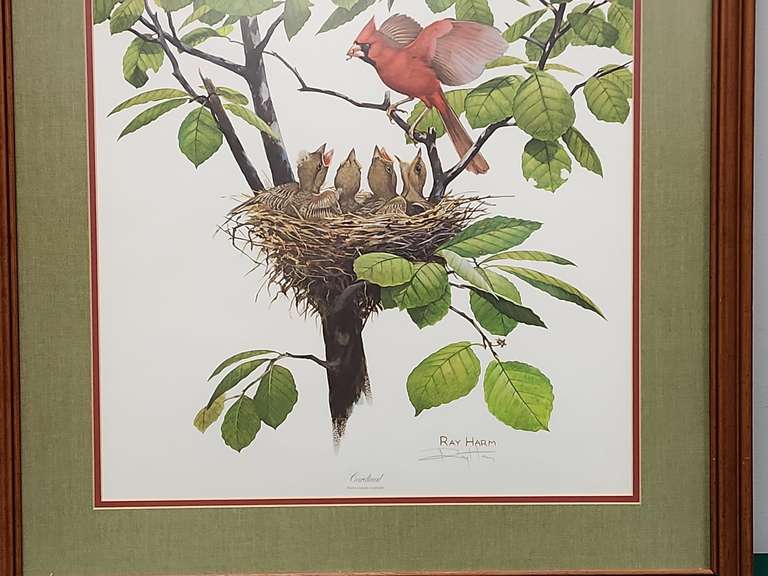 Ray Harm "Cardinal" framed print, approx. 28" x 31"