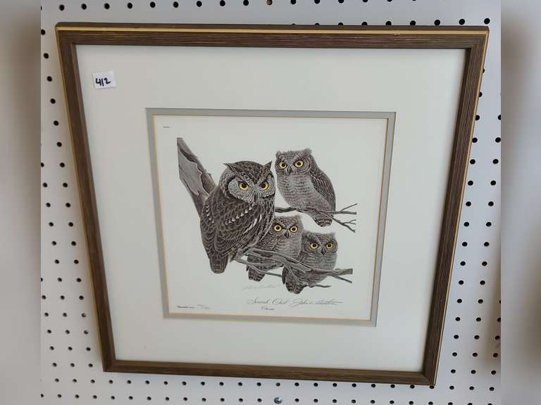 John Ruthven Signed/Numbered Framed Screechhawk Print - 17x17in ...