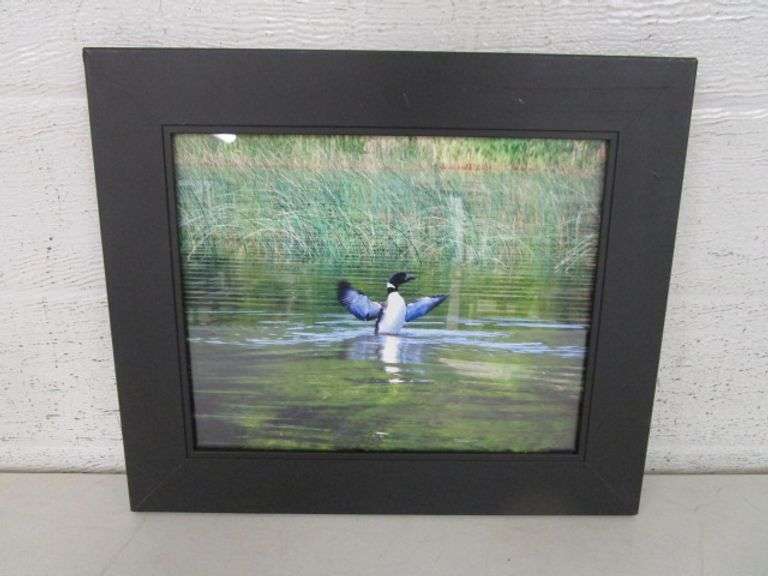 3 - Framed Loon Prints - Oberman Auctions