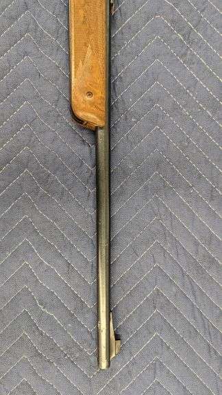 Daisy model 880 BB gun - Parrott Marketing Group