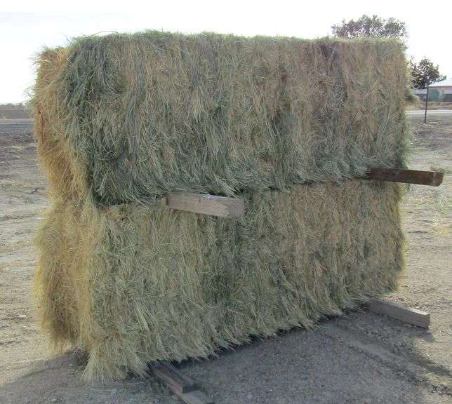 Z-1120 Teff Hay Large Bales (2) - Pickett Auction Service