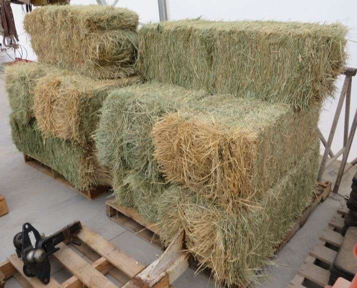 Z-1172 Teff 2-String Hay Bales (10) - Pickett Auction Service