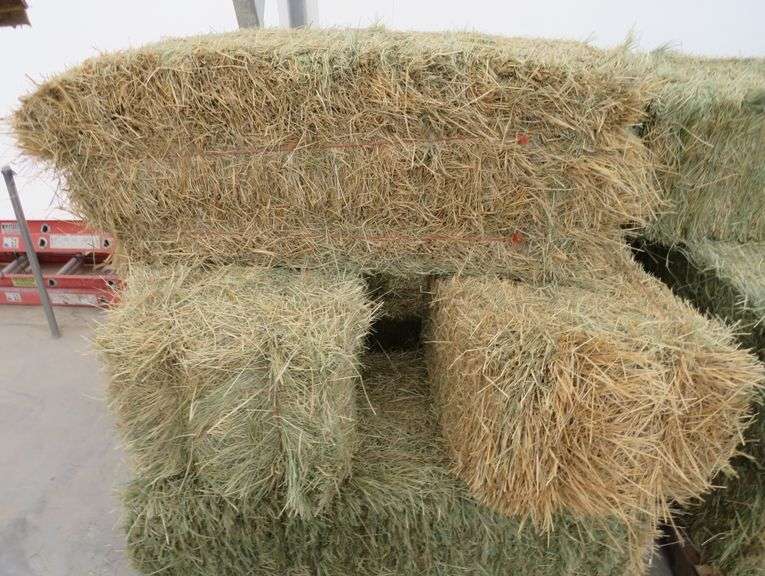 Z-1172 Teff 2-String Hay Bales (10) - Pickett Auction Service