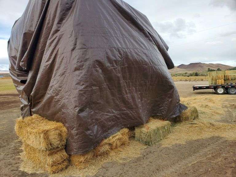 Z-1175 Teff 2-String Hay Bales (30) - Pickett Auction Service