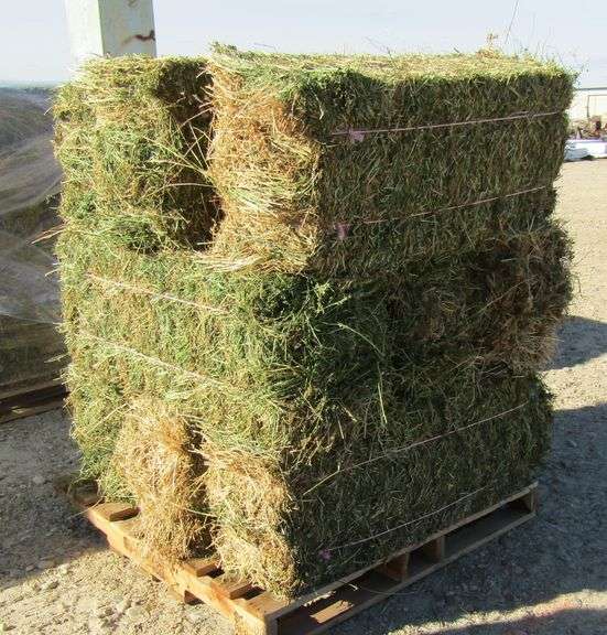 Z-1343 Alfalfa 2-String Hay Bales (9) - Pickett Auction Service