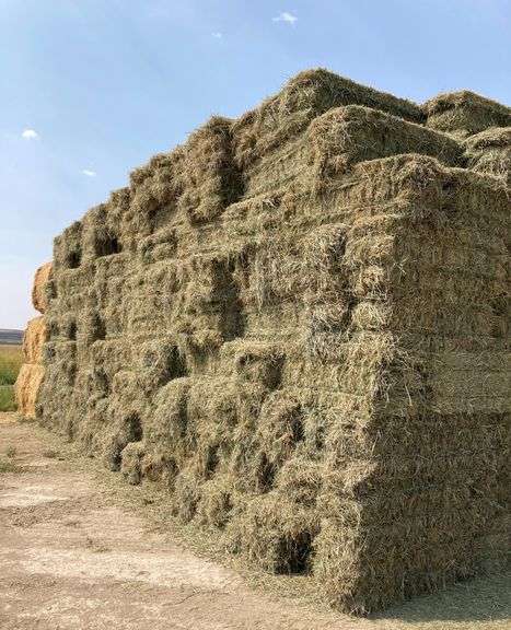 Y-1699 Two String Orchard Grass Hay Bales (25) - Pickett Auction Service
