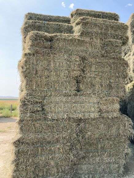 Y-1701 Two String Orchard Grass Hay Bales (25) - Pickett Auction Service
