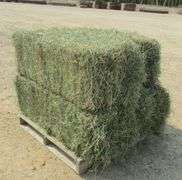 Y-1689 Two String Orchard Grass Hay Bales (4) - Pickett Auction Service