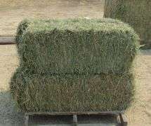 Y-1701 Two String Orchard Grass Hay Bales (25) - Pickett Auction Service