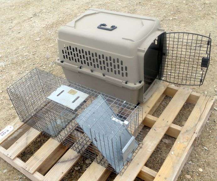 D-425 Dog Crate + Live Trap - Pickett Auction Service