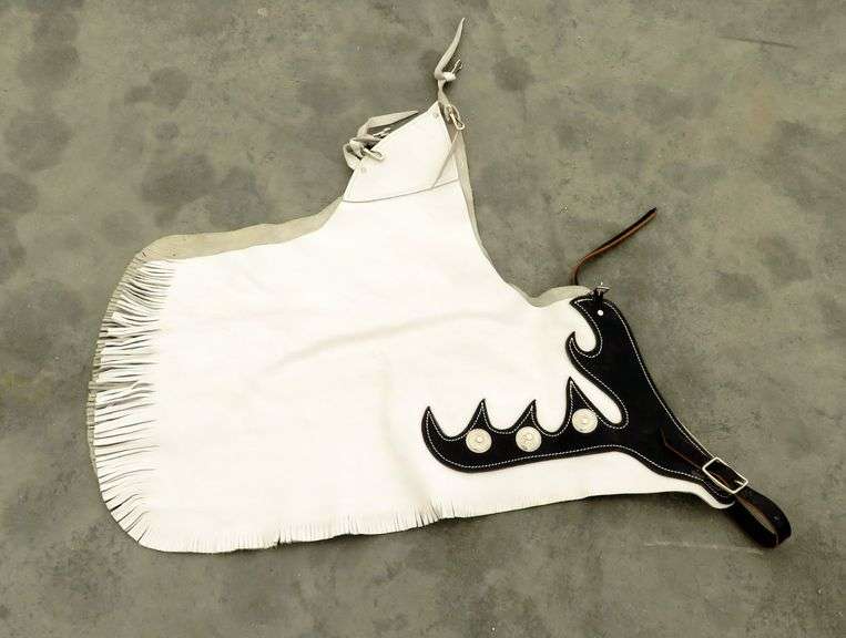 D-1577 Set of Chaps - Pickett Auction Service