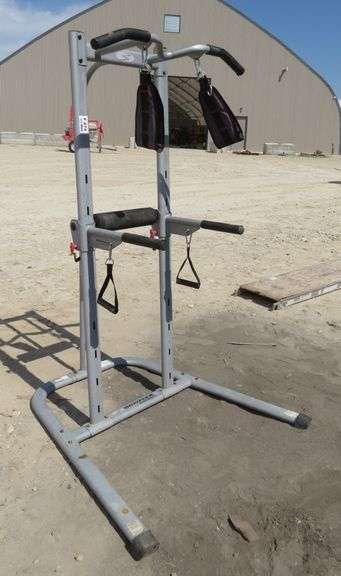 F-274 Bowflex Body Tower - Pickett Auction Service