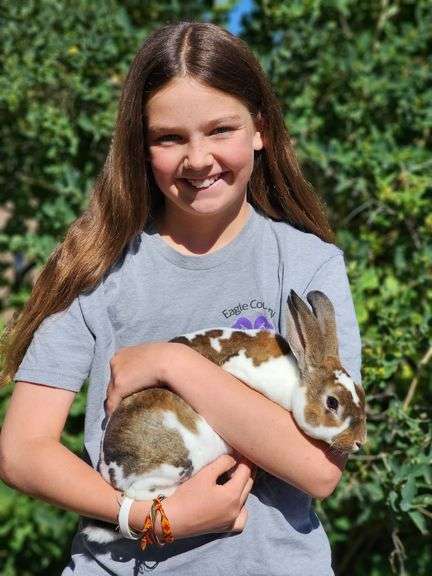 Dorothy Parrish Rabbit - Premier Livestock Auctions