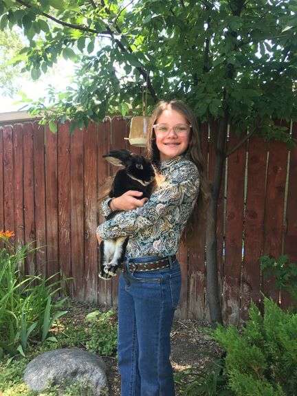 Quinn Fletcher Rabbit - Premier Livestock Auctions