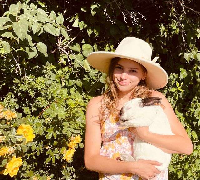 Audrey Laster Rabbit - Premier Livestock Auctions