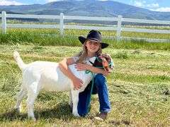 Mila Bartlett Goat - Premier Livestock Auctions