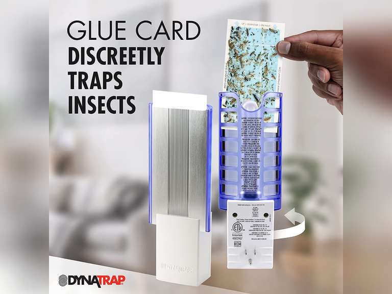 DynaTrap DT3009W-1003P Flylight Indoor Plug-in Fly Trap & 21050 9-Watt ...