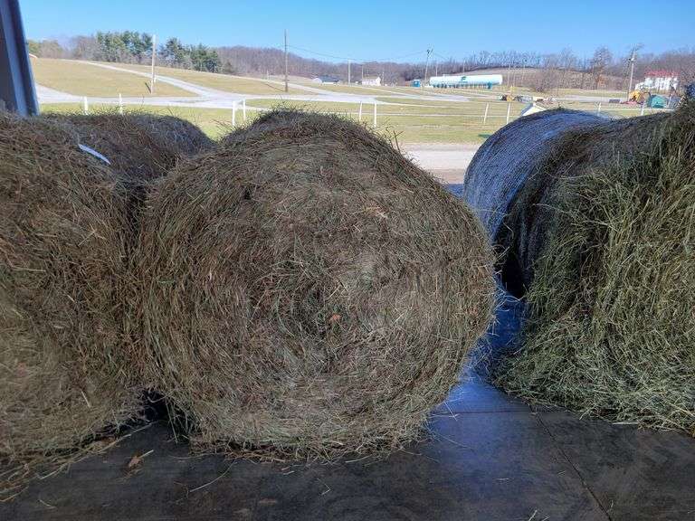 2 Round Bales 2nd Orchard Grass (4x4) - Stored Inside - Rogers ...