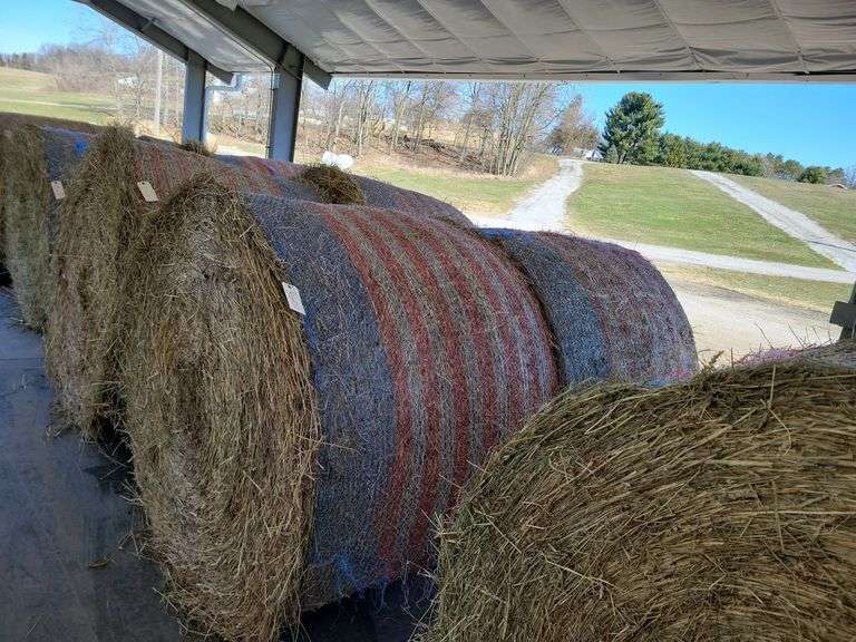 2 Round Bales 1st Timothy Orchard Grass Mix (4x5) Stored Inside ...
