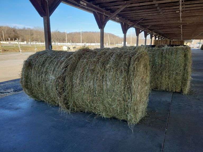 2 Round Bales 1st Orchard Grass (4x4) Stored Inside - Rogers Community ...