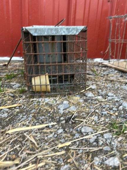 Box Trap - Rogers Community Auction Inc.