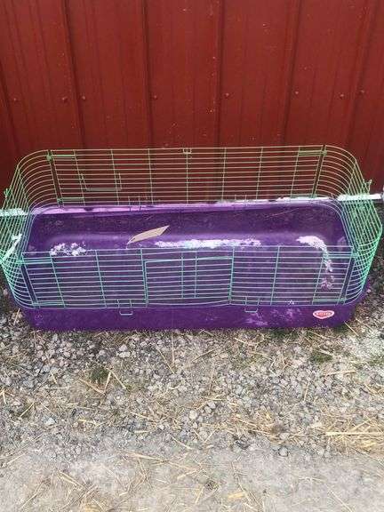 Purple & Green Cage - No Cracks - Rogers Community Auction Inc.