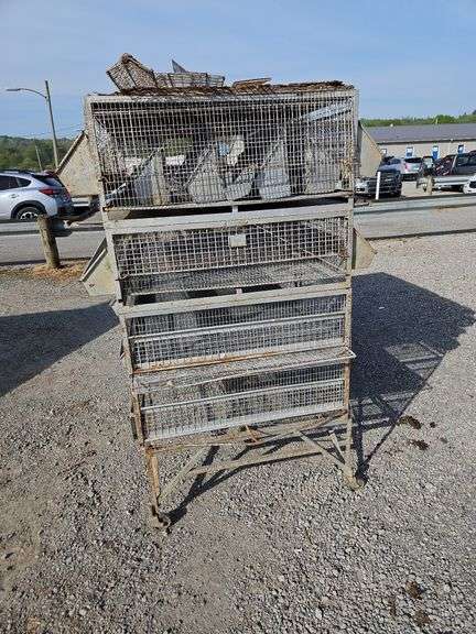 Chick Brooder w/ Extra Feeders & Waterers - 34"x64"x68" - Rogers ...