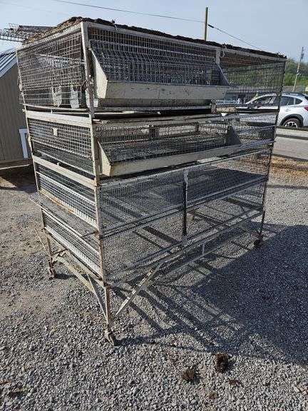 Chick Brooder w/ Extra Feeders & Waterers - 34"x64"x68" - Rogers ...