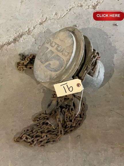 Cm cyclone chain hoist - Rideau Auctions