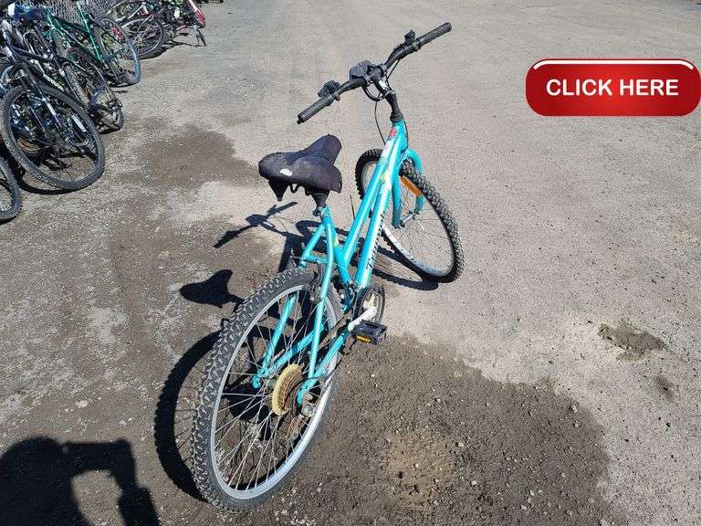 Triumph Challenger Bicycle - Rideau Auctions