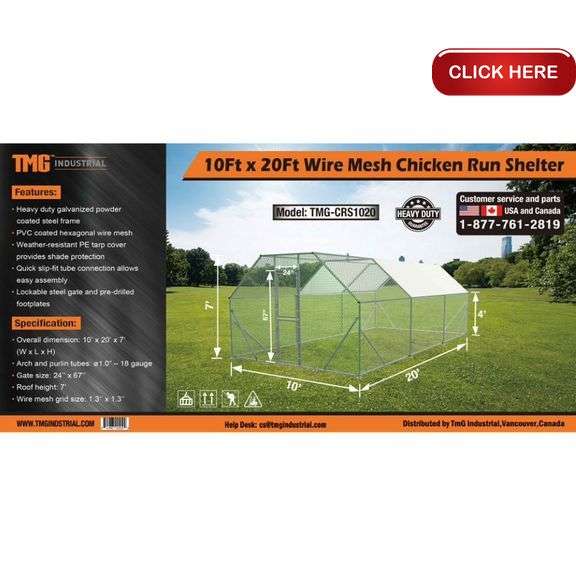 Tmg 10’x20’ wire mesh chicken run shelter - Rideau Auctions