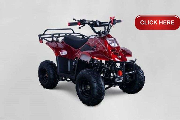 2021 Hawk 110cc - Rideau Auctions