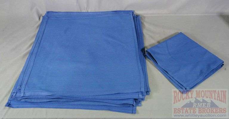 25 Blue Carousel commercial grade 19"X19" cloth napkins/server towels ...