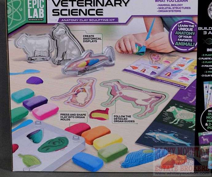 New Epic Lab Veterinary Science Anatompy Clay Sculpting STEM Kit with 3 ...