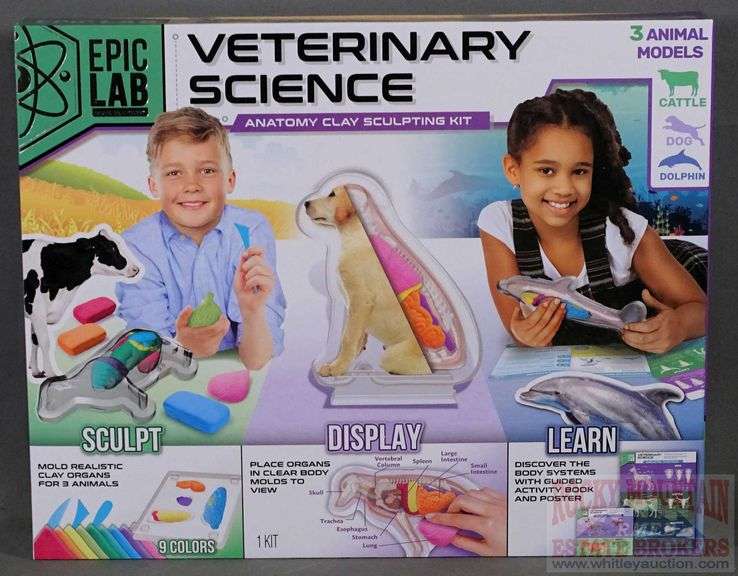 New Epic Lab Veterinary Science Anatompy Clay Sculpting STEM Kit with 3 ...