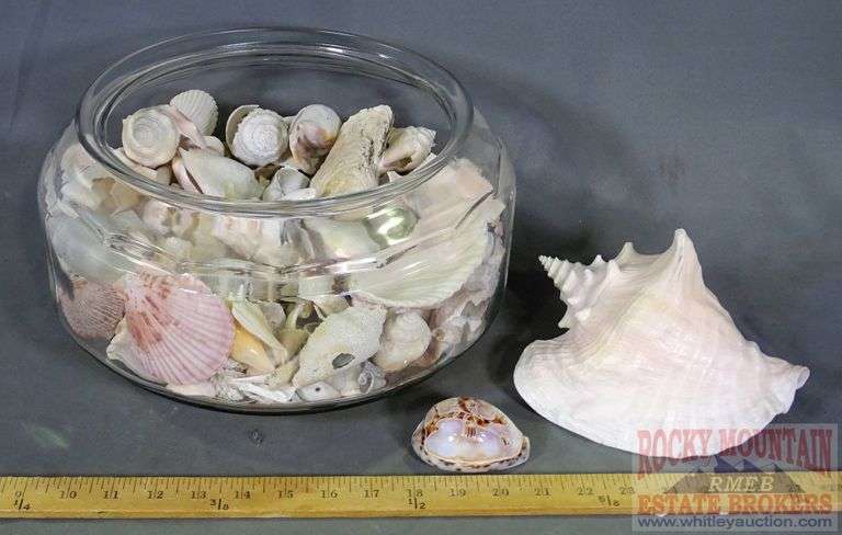 Large Glass Fish Bowl FULL of Sea Shells. - Rocky Mountain Estate ...