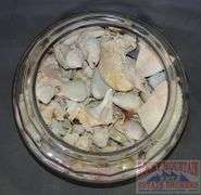 Large Glass Fish Bowl FULL of Sea Shells. - Rocky Mountain Estate ...