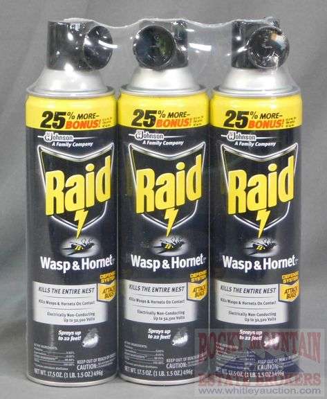 New 3 Pack of Raid Wasp and Hornet Killer. This includes three 17.5 ...