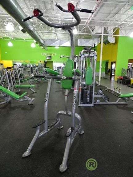 Hoist 3962 Fitness Tree With Chin Up Bar, Dip Bar and Vertical Knee ...