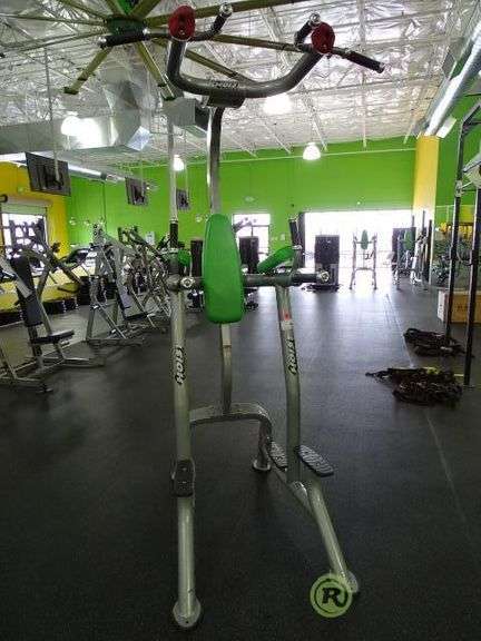 Hoist 3962 Fitness Tree With Chin Up Bar, Dip Bar and Vertical Knee ...