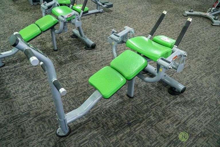 Matrix MG-PL50 Ab Crunch Bench, Plate Loaded - Roller Auctions