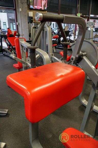 Precor Icarian 210 Flat Tricep Extension Cable Machine - Roller Auctions