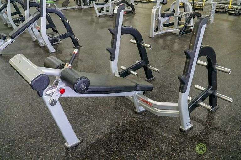Star Trac B72004 Olympic Decline Bench Press Rack With 12-Weight Pegs ...