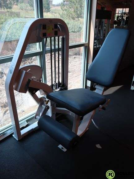 Nautilus Leg Extension Cable Machine - Roller Auctions